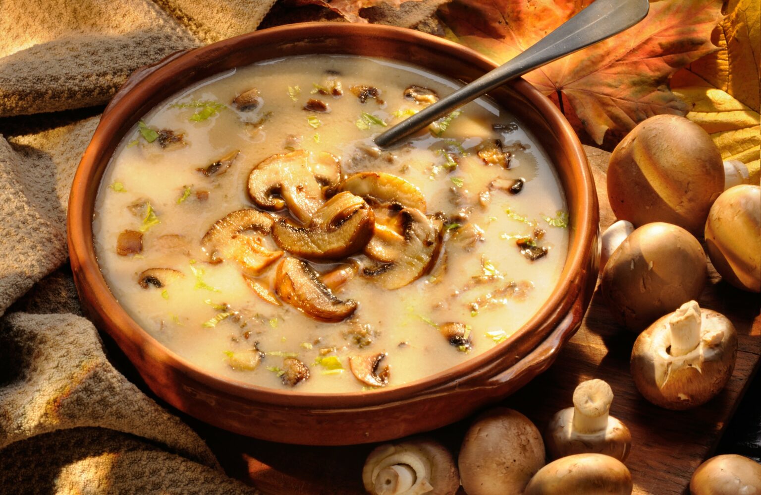 5 Great Israeli & Jewish Soups for Winter | Judaica Webstore Blog
