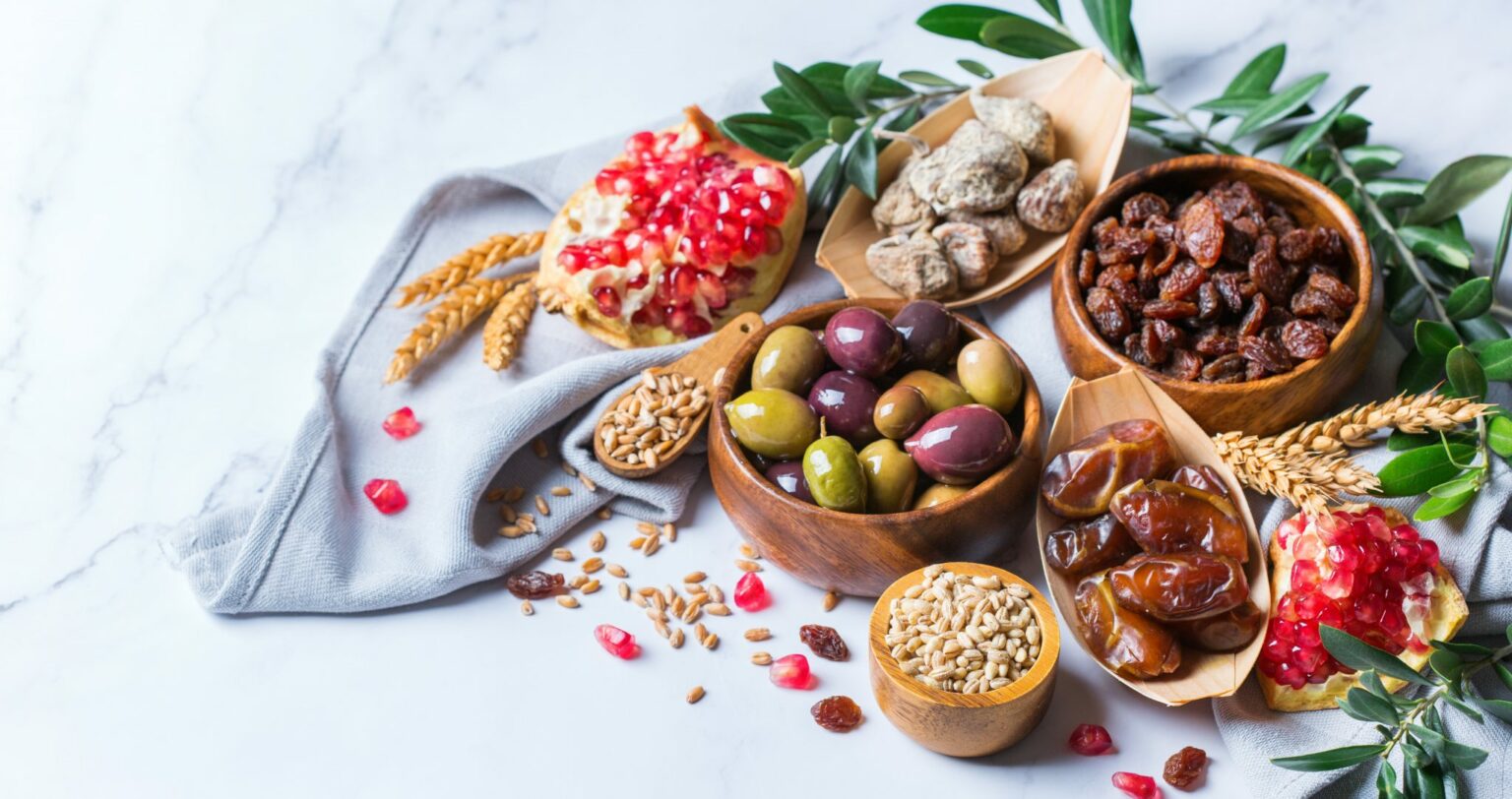 How Israel Rediscovered the Ancient Tekhelet Dye | Judaica Webstore Blog