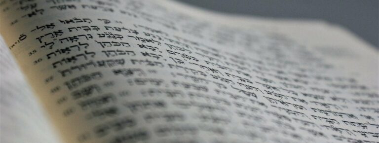 Everything You Need To Know About Simchat Torah | Judaica Webstore Blog